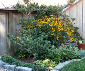 About Us | Grandview Landscape